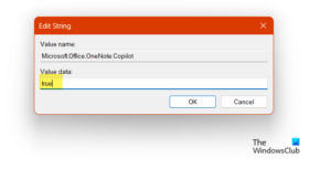How to use Copilot in OneNote