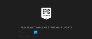 Epic Games Launcher: Please wait while we start your update