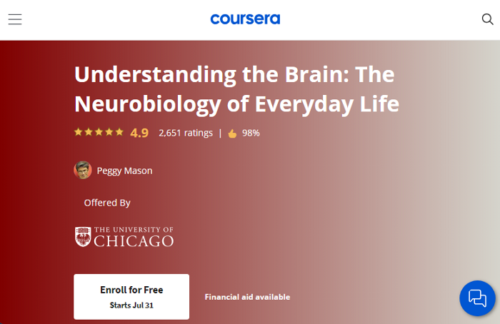 Free online courses from top universities like Harvard and Stanford