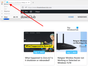 Cannot resize windows on Windows 11/10