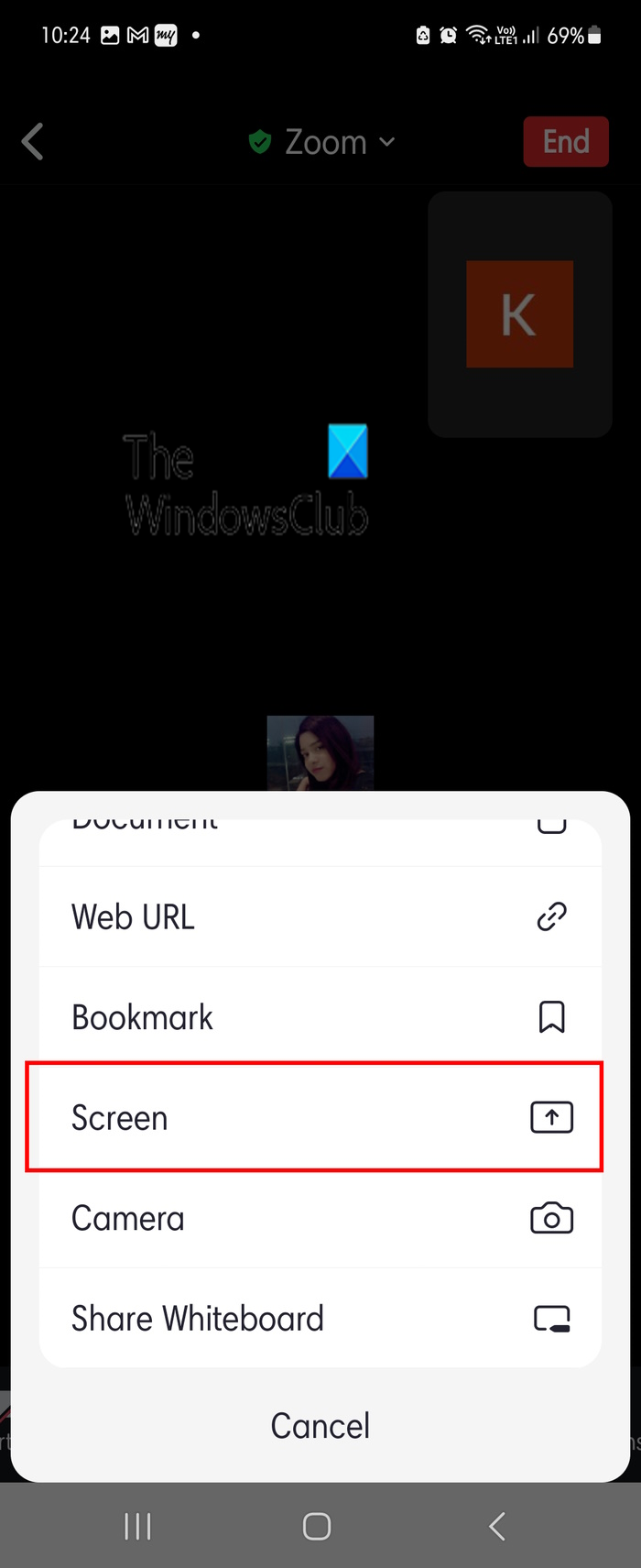 How to Play a Video in a Zoom Meeting?