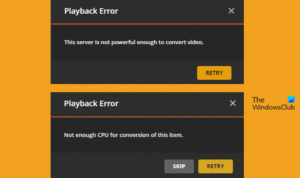 Fix Plex Playback Error on Windows PC