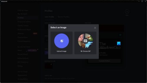 Get an Invisible Discord Name and Avatar