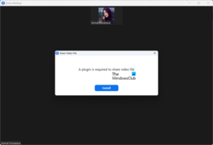 How to Play a Video in a Zoom Meeting?