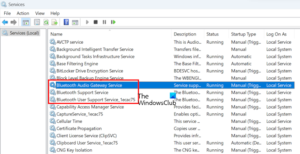 Bluetooth headphone or speaker Connected Voice or Music only