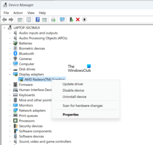Computer screen goes black when HDMI plugged in