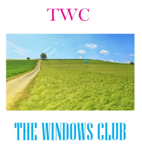 How to fill out a PDF form in Adobe Acrobat