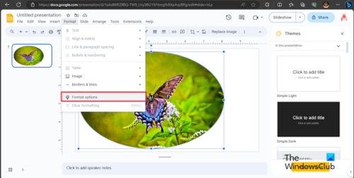 How to make Image Round and Transparent in Google Slides