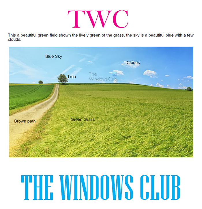 How to fill out a PDF form in Adobe Acrobat