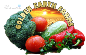 How to create fillable PDF forms in InDesign