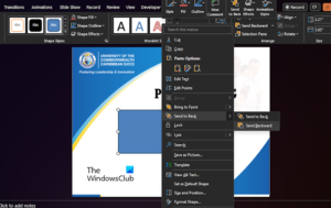 PowerPoint Fonts not showing up or displaying correctly [Fix]