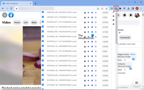 Best free Video Downloader for Chrome and Edge
