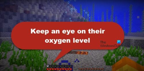 How to find and use Heart of the Sea in Minecraft?
