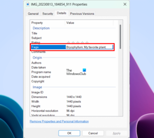 How to add Tags to Images in OneDrive