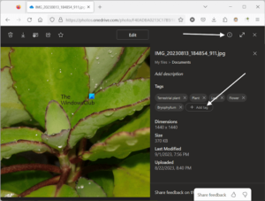 How to add Tags to Images in OneDrive