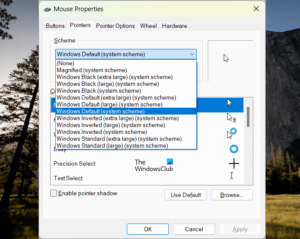 Black Box around the Mouse Pointer on Windows 11/10