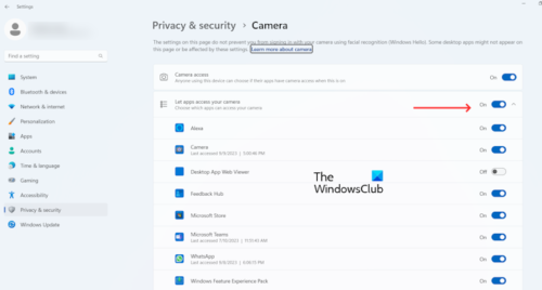 Camera showing Lock icon on Windows laptop