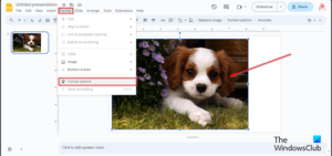 How to recolor Pictures in Google Slides
