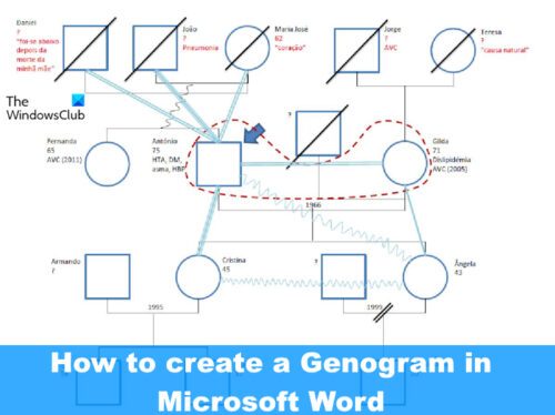 How to make Genogram in Word
