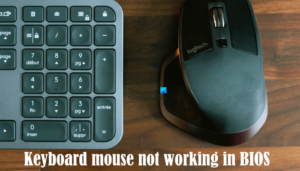 Keyboard or Mouse not working in BIOS on Windows computer