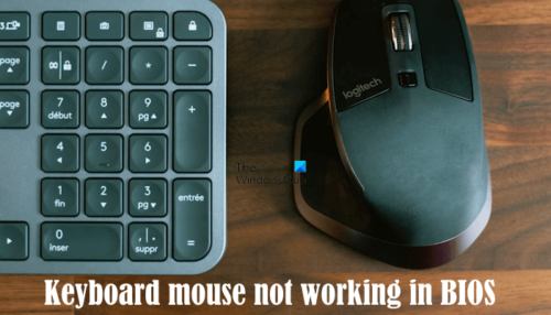 Keyboard or Mouse not working in BIOS on Windows computer