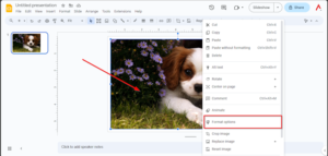 How to recolor Pictures in Google Slides