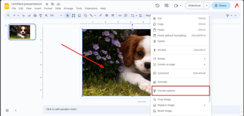 How to recolor Pictures in Google Slides