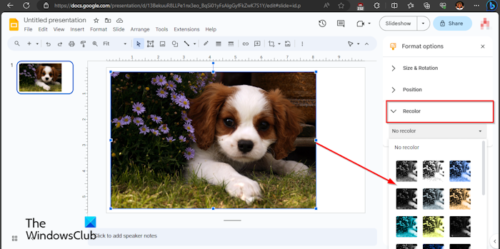 How to recolor Pictures in Google Slides