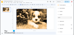 How to recolor Pictures in Google Slides