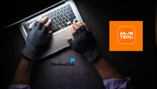 What are different TEMU scams? Is Temu legit website?