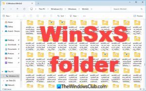 What is WinSxS folder in Windows 11/10?