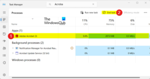 A running instance of Acrobat has caused an error