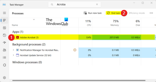 A running instance of Acrobat has caused an error