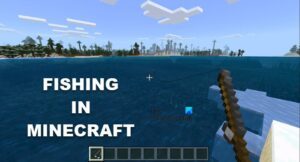 What can you get from Fishing in Minecraft?