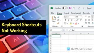 Keyboard Shortcuts not working in Excel [Fix]
