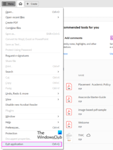 A running instance of Acrobat has caused an error