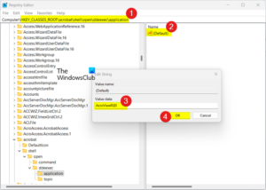 A running instance of Acrobat has caused an error
