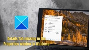 Details Tab missing in the Properties window in Windows 11