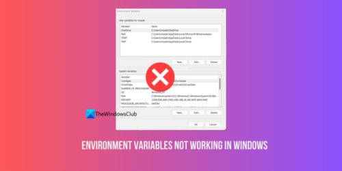 Environment Variables not working in Windows 11 Environment Variables not working in Windows 11