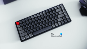 Windows Period key not working [Fix]