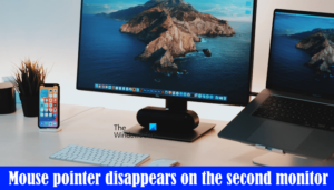 Mouse pointer disappears on Second Monitor on Windows 11