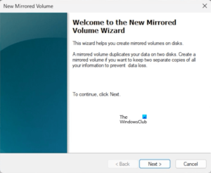 How to setup RAID 1 on Windows 11