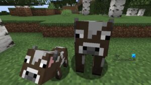 How to Breed Cows in Minecraft?