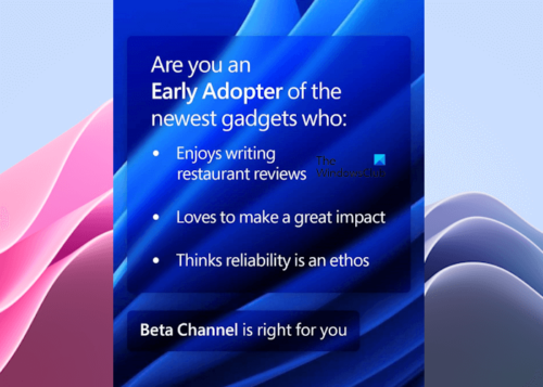 Canary vs Dev vs Beta vs Release Preview Windows Insider Channels