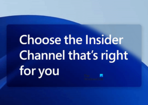 Canary vs Dev vs Beta vs Release Preview Windows Insider Channels