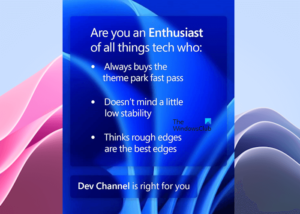 Canary vs Dev vs Beta vs Release Preview Windows Insider Channels