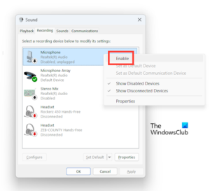 Cannot unmute Microphone on Windows 11
