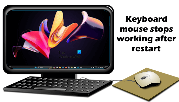 Keyboard or mouse stops working after Restart in Windows 11/10 Keyboard or mouse stops working after Restart in Windows 11/10