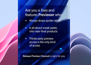 Canary vs Dev vs Beta vs Release Preview Windows Insider Channels