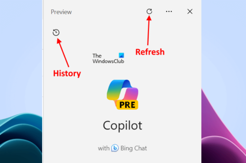 How to use Copilot in Windows 11 [Complete Guide]